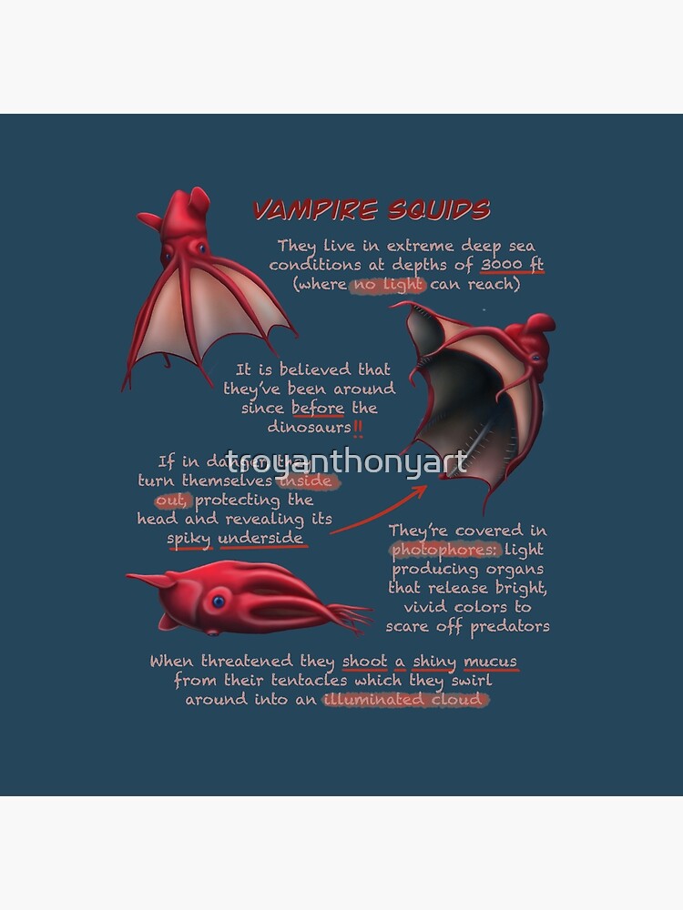 Vampire Squid Vampire Squid Animal Facts Vampire Another October