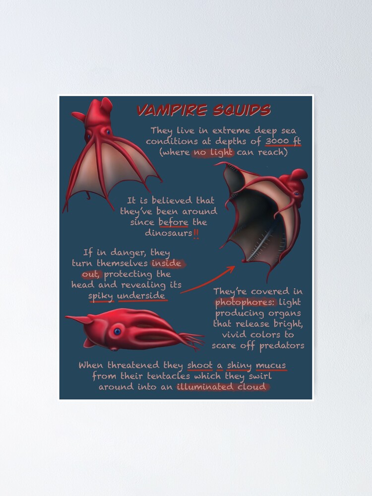 "Vampire Squid Fun Animal Facts" Poster for Sale by troyanthonyart ...