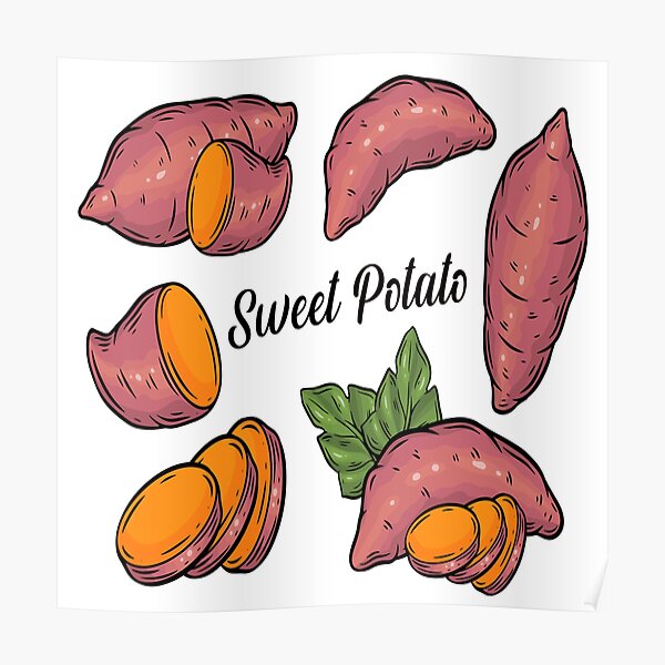 Sweet Potato Posters | Redbubble