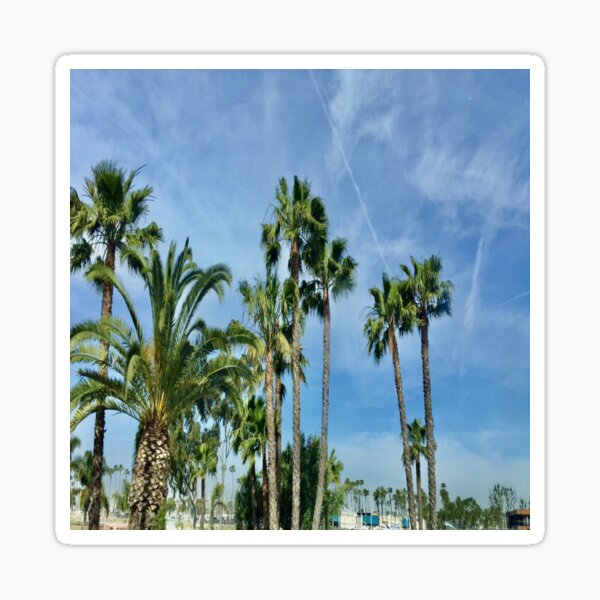 "Long Beach, California " Sticker by Uniqueposters | Redbubble