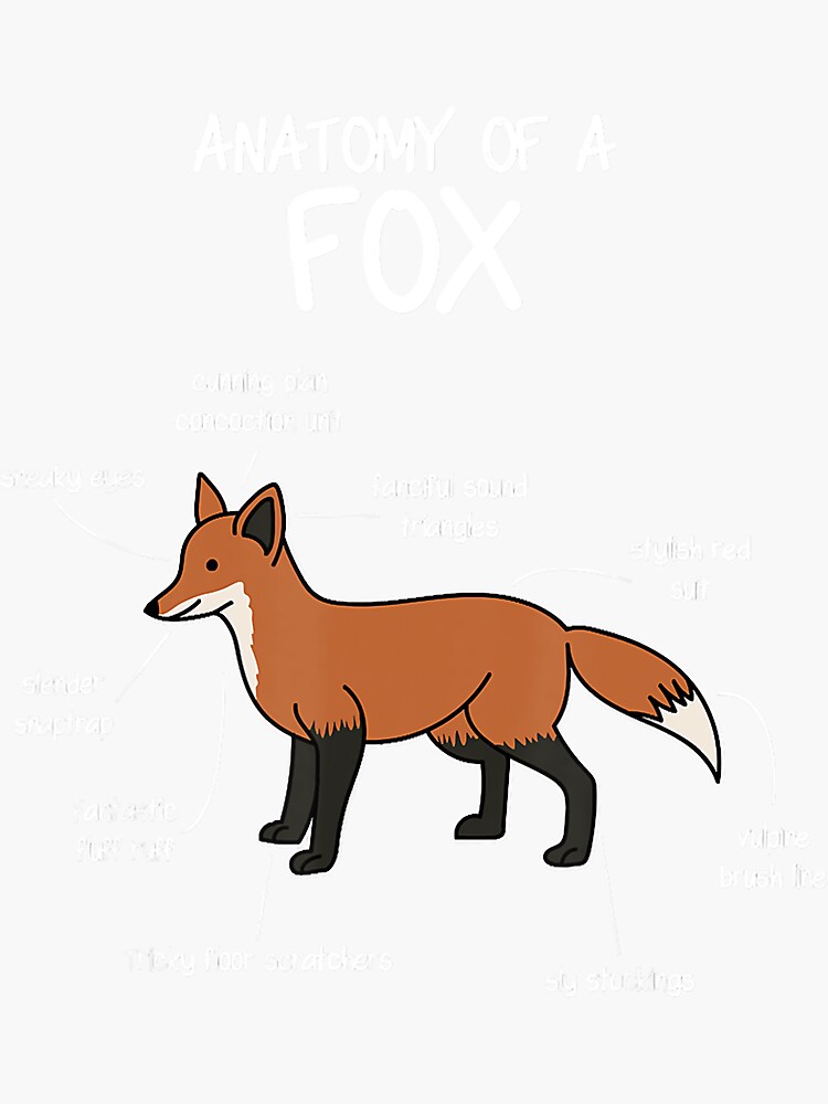 Pegatina «Anatomía de un zorro - Camiseta divertida de las partes del ...