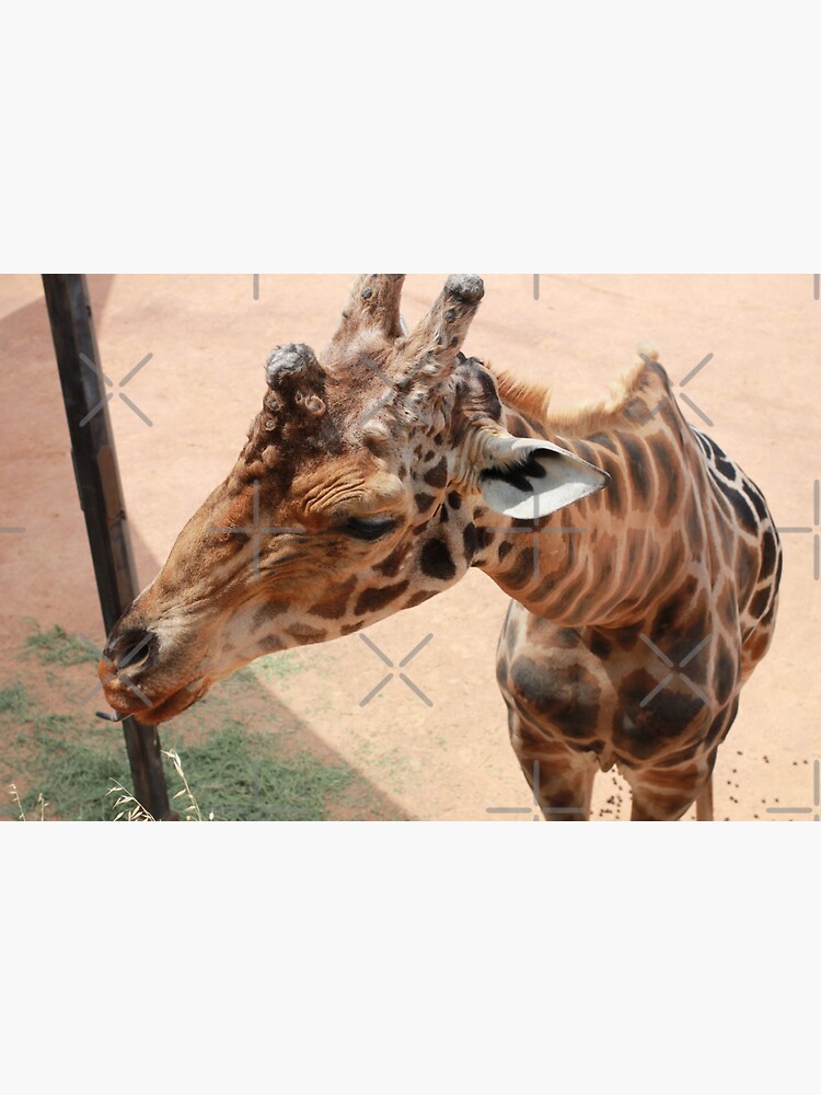 "Hummer" Sticker for Sale by EmmaCoops | Redbubble