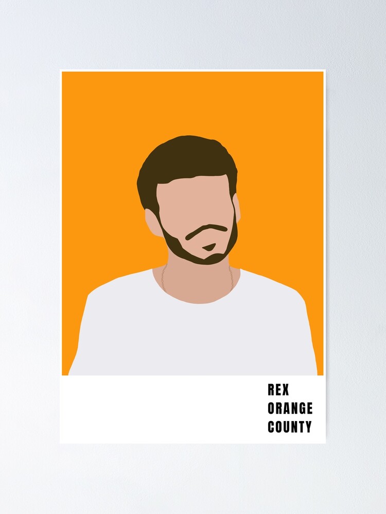 Pony Album cover poster Rex Orange County poster Personalized gifts ...