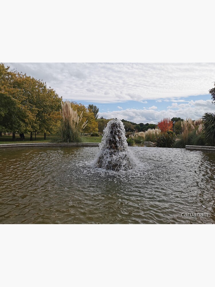 "Water Fountain" Sticker for Sale by caruanam | Redbubble