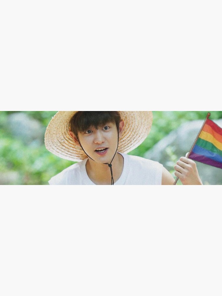 "exo chanyeol pride flag" Sticker for Sale by jaeri12 | Redbubble