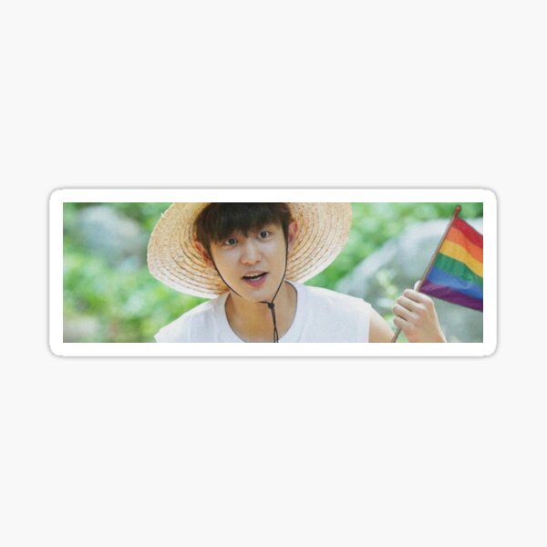 "exo chanyeol pride flag" Sticker for Sale by jaeri12 | Redbubble