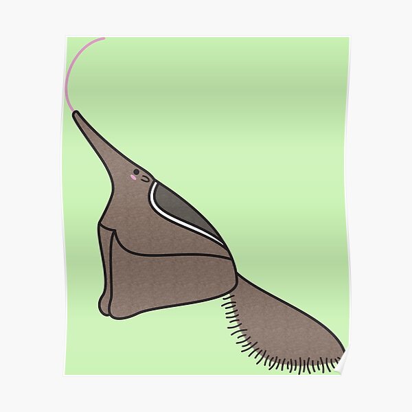 "Cute sitting anteater" Poster for Sale by MirkaMakes | Redbubble