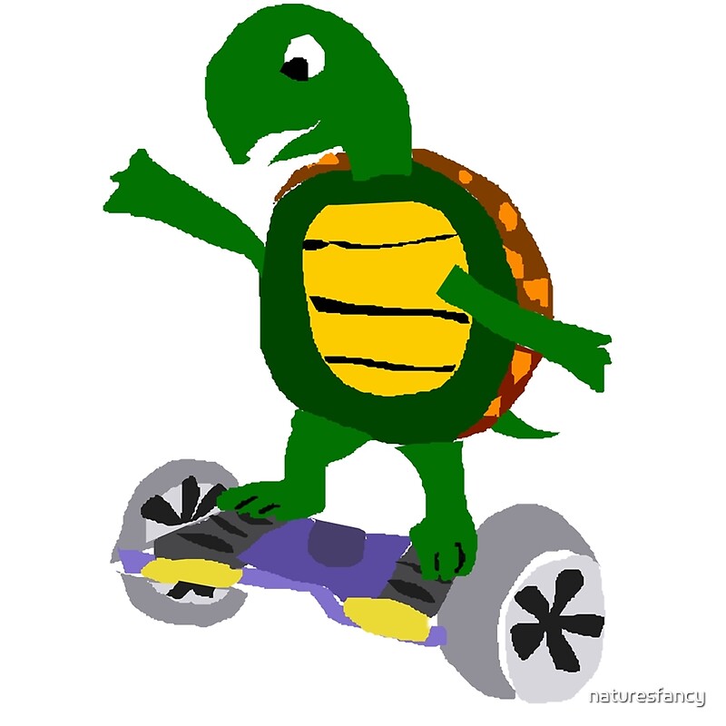 "Cool Funny Turtle on Hoverboard Art" by naturesfancy | Redbubble