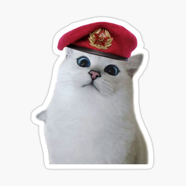 "communist cat 6" Sticker by promisesarelies | Redbubble