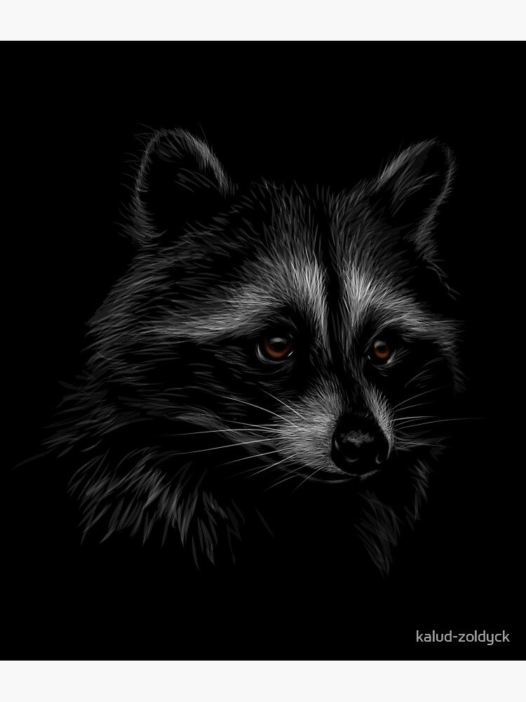 Póster «Retrato dibujado a mano realista de un lindo mapache» de kalud ...