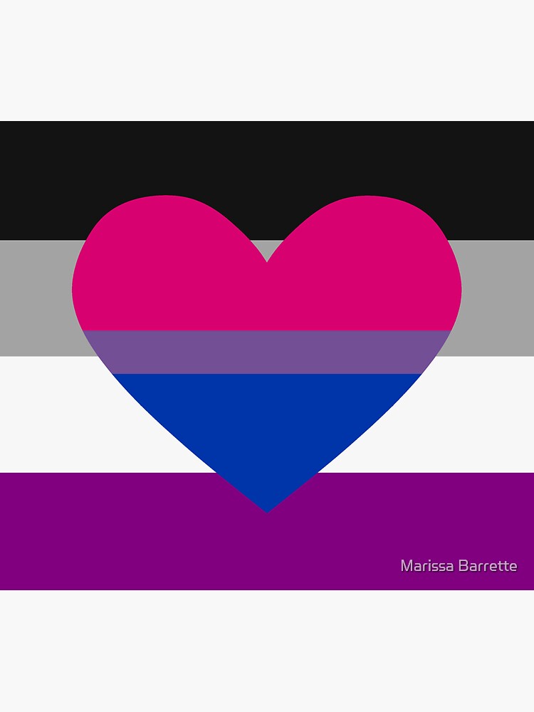 "Ace and bi flag" Sticker for Sale by Marissa Barrette | Redbubble