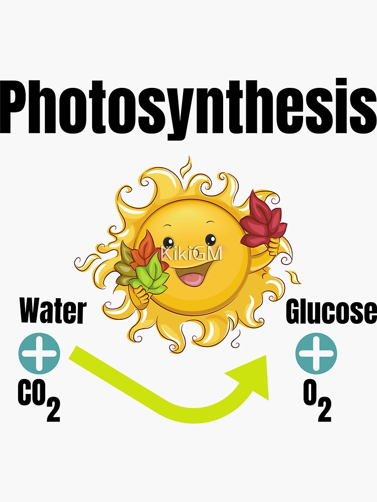"Photosynthesis" Sticker by KikiGM | Redbubble