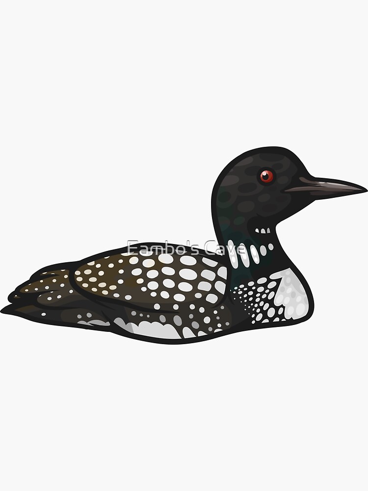 "Common Loon" Sticker for Sale by Ginboy | Redbubble