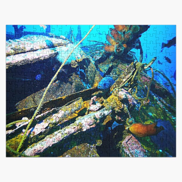 "Sunken Ship" Jigsaw Puzzle for Sale by Caregiverology | Redbubble