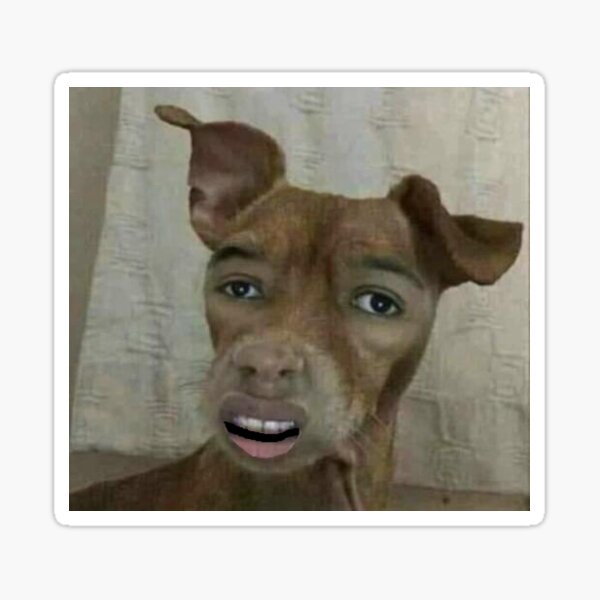 "Confused Dog Face" Sticker for Sale by yungtravv | Redbubble