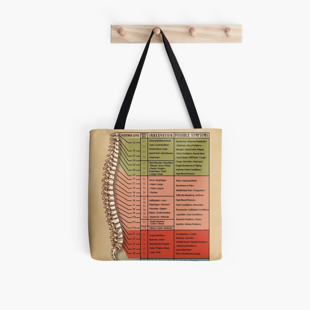 "Spinal Nerve Function Chart, Root Chart, Chiropractic - Osteopathy ...