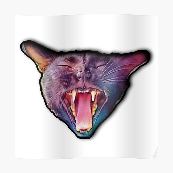 "Angry Cat" Poster by kimcrunner | Redbubble