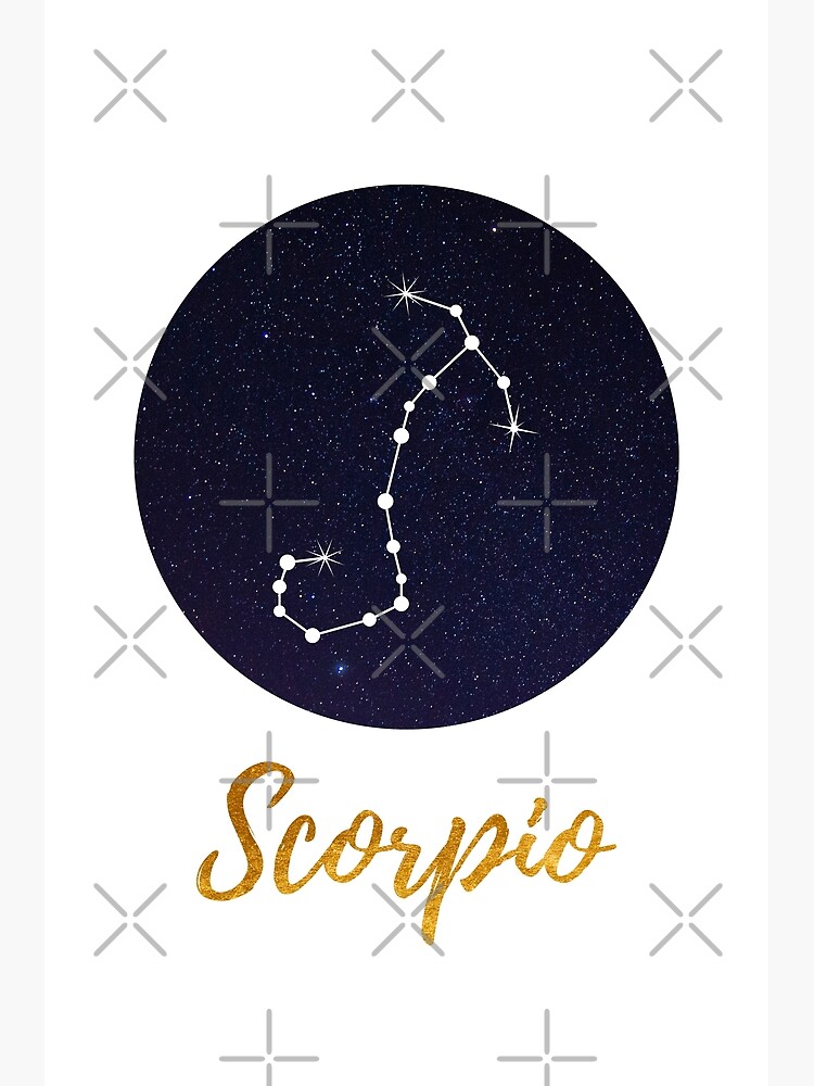 "Scorpio Wall Decor - Gold and Navy Sky with Stars - Zodiac ...