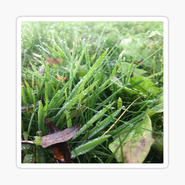 "Morning dew garden" Sticker for Sale by TravelTemple | Redbubble