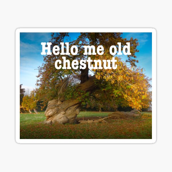 "Hello me old chestnut" Sticker by Papermouse | Redbubble