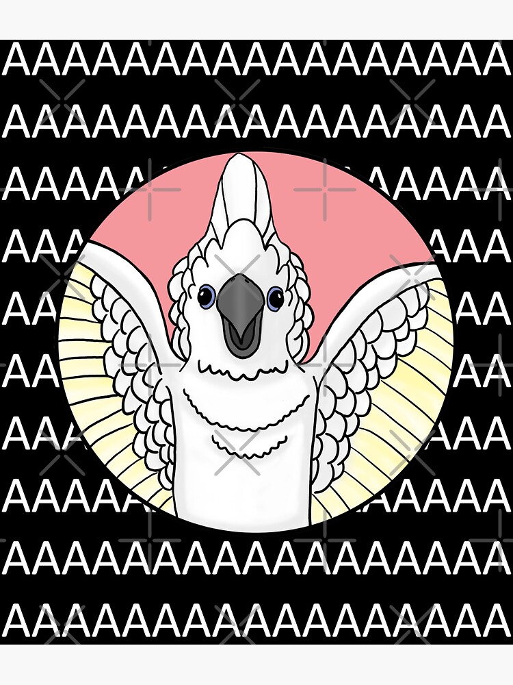 "AAAAAAAAAA, Funny screaming umbrella cockatoo" Sticker for Sale by ...