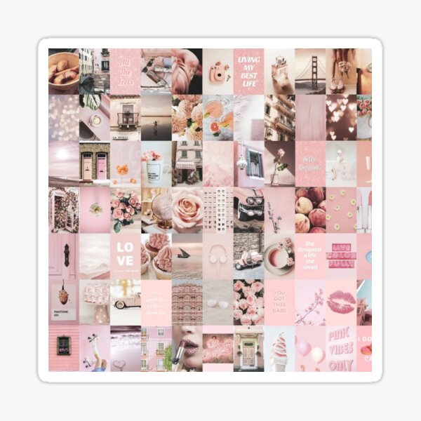 "Rustic pink vibe collage" Sticker for Sale by hillarymoore06 | Redbubble