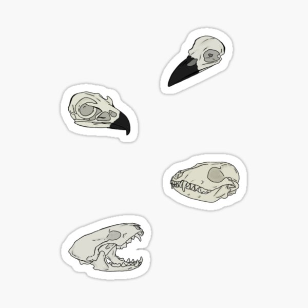 "Animal Skulls" Sticker for Sale by Vulpusartist | Redbubble