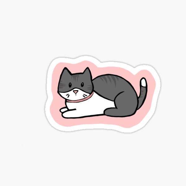 "Chonk Cat" Sticker for Sale by haliemesko | Redbubble