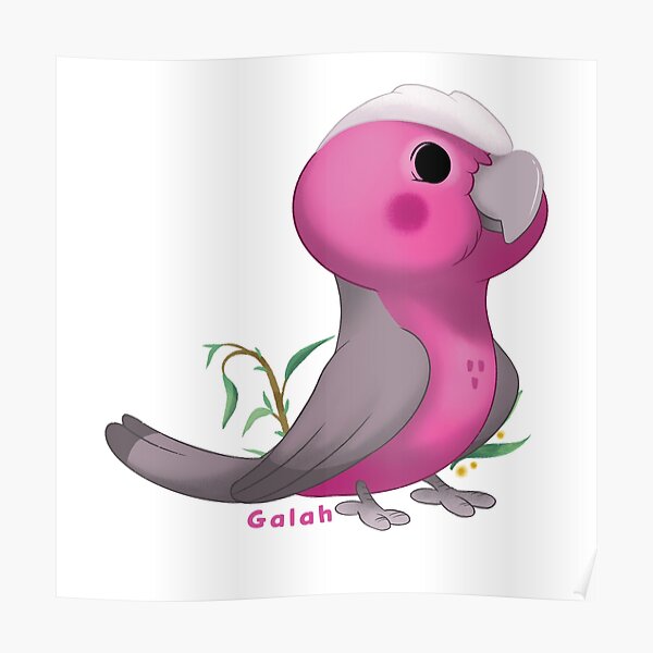 "Australian Galah " Poster for Sale by MvuuStudio | Redbubble