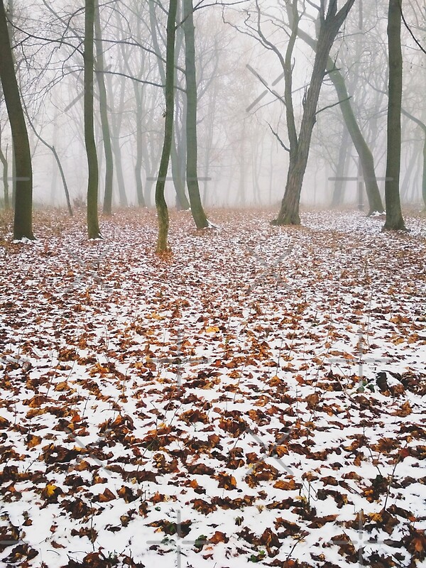 "Magic winter foggy forest" by helenkaiy | Redbubble