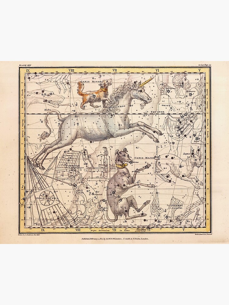 "Vintage map - Canis Major Canis Minor Monoceros Argo Navis - Alexander ...