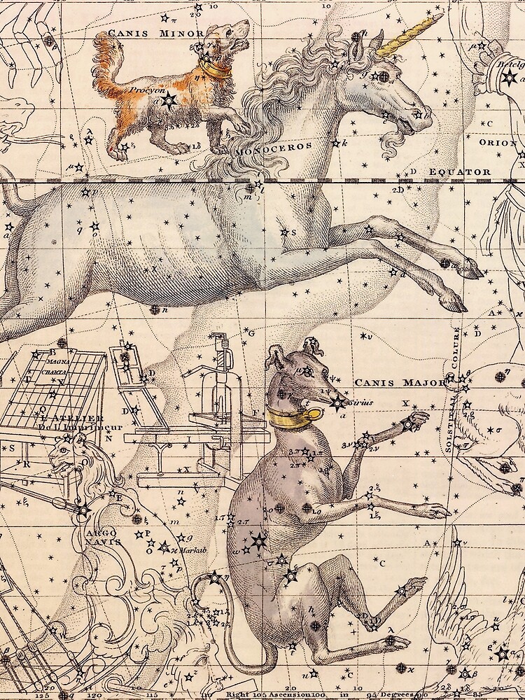 "Vintage map - Canis Major Canis Minor Monoceros Argo Navis - Alexander ...