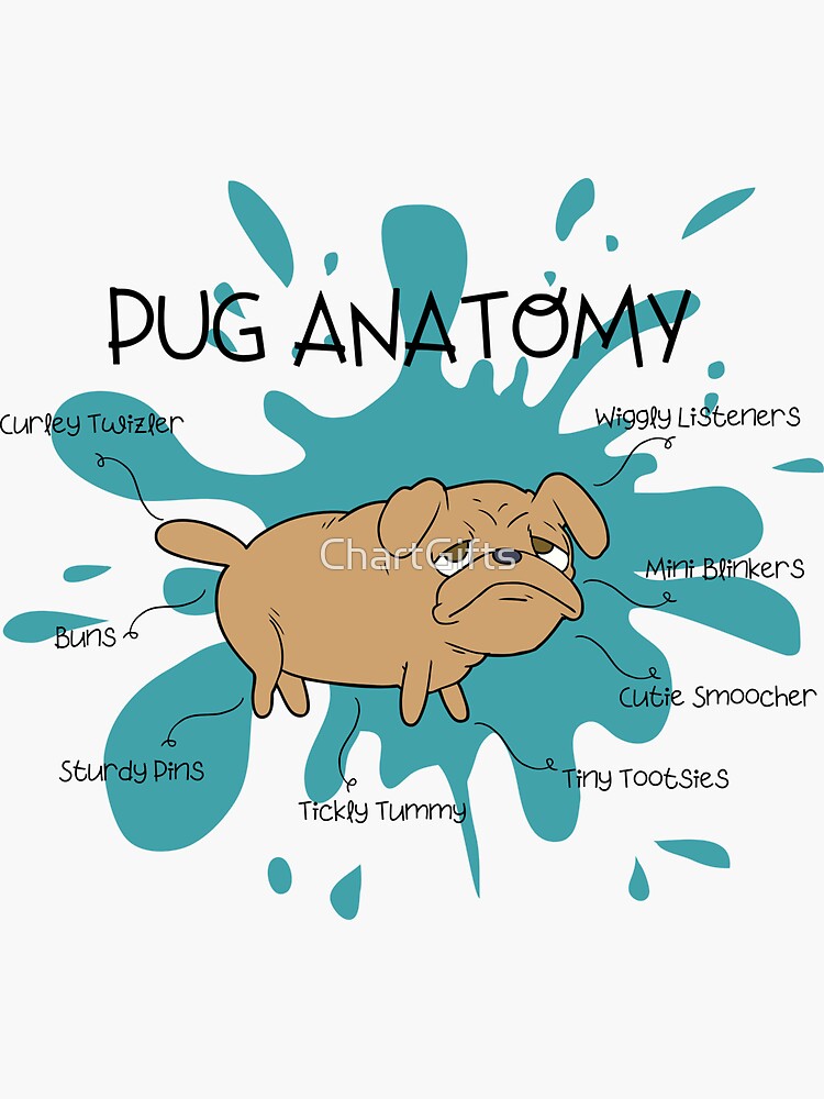 "The Pug Anatomy Pug Tshirt Is Here! Based On The Latest Scientific ...