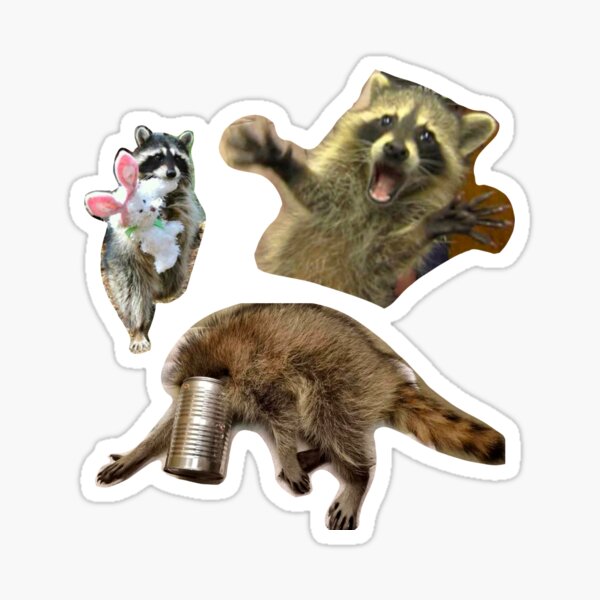 "raccoon stickers " Sticker by blueberrypossum | Redbubble