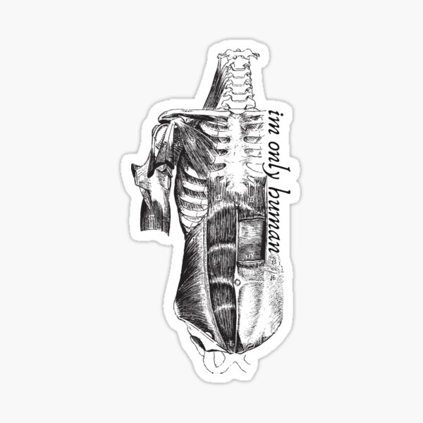 "Vintage Anatomical Human Body (im only human)" Sticker for Sale by ...