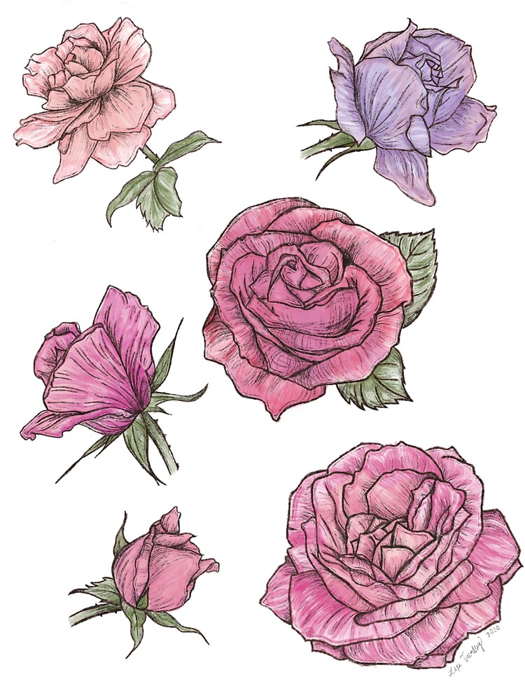 "Rosie" Sticker by lexitremblay | Redbubble