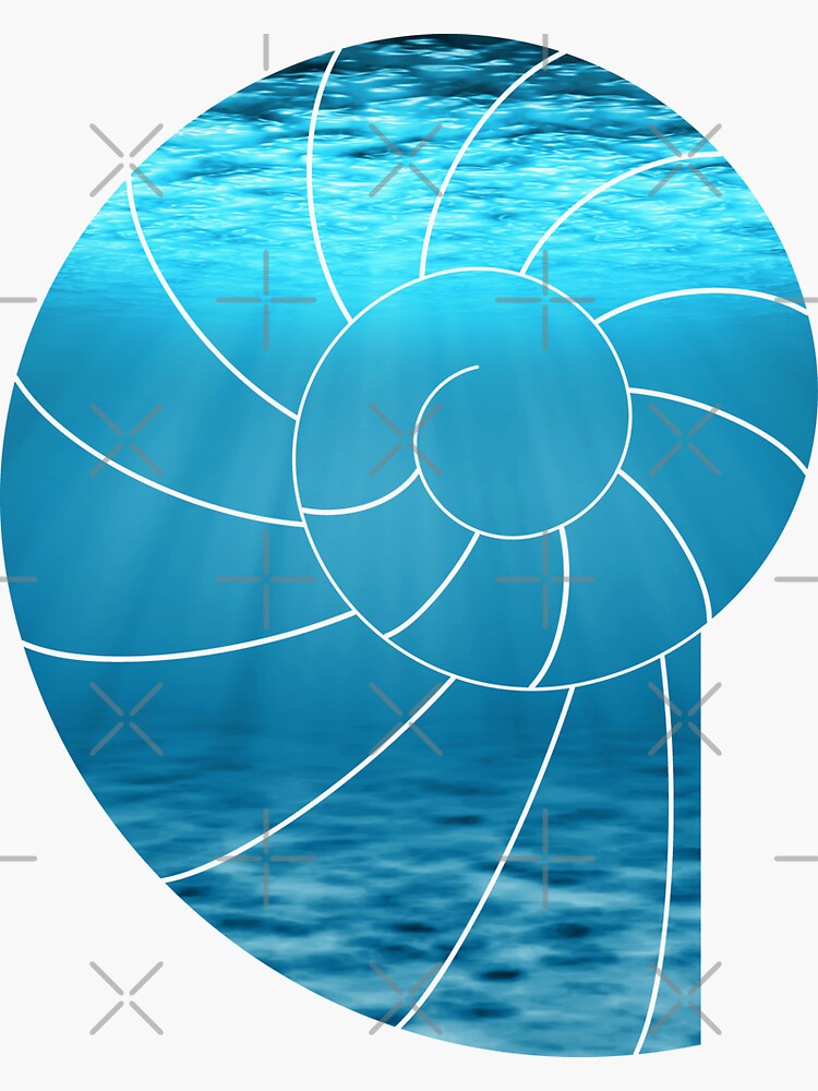 "Blue Aesthetic Ocean Shell" Sticker for Sale by GraffiTimi | Redbubble