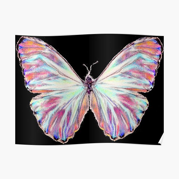 "Pink Morpho Butterfly (black background) monarch" Poster by leiriin ...