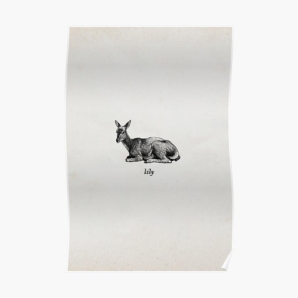 "Lily's Doe" Poster by beunstoppable | Redbubble