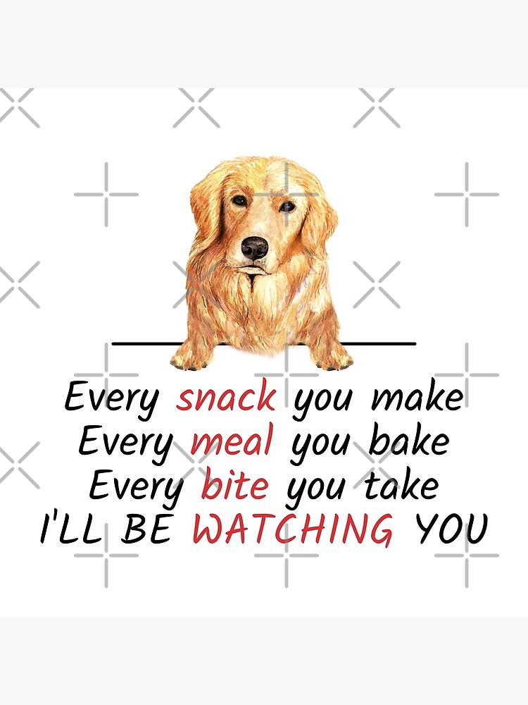 "Every Snack You Make I'll Be Watching You Golden Retriever Dog Owner ...