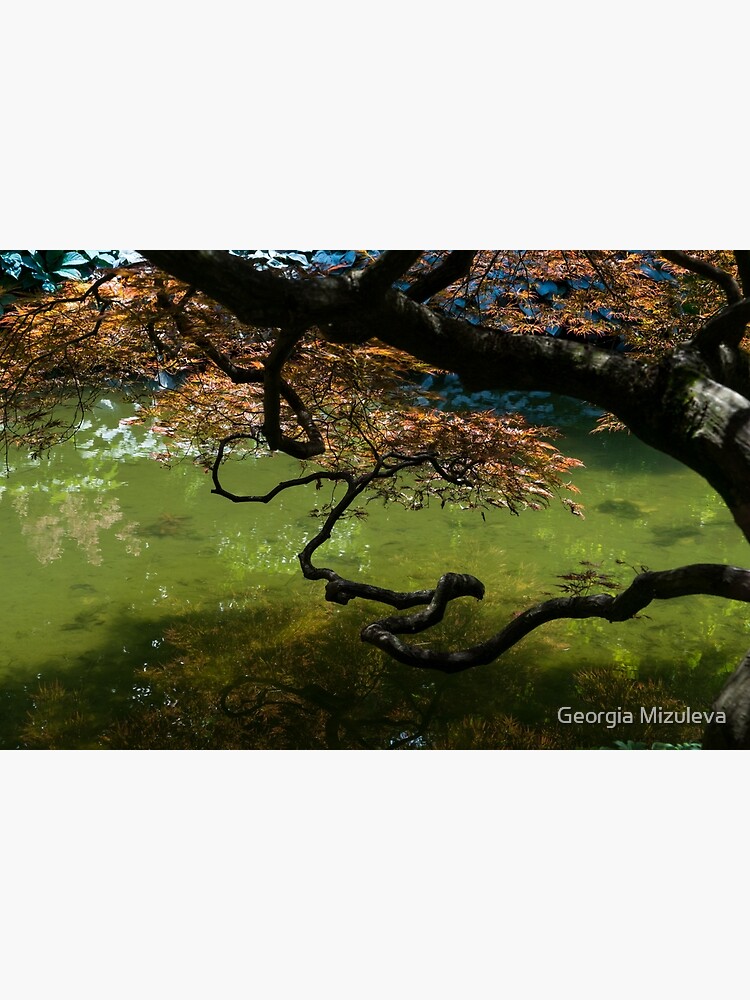 "Twisted - Graceful Japanese Maple Branches Overwater" Poster by ...