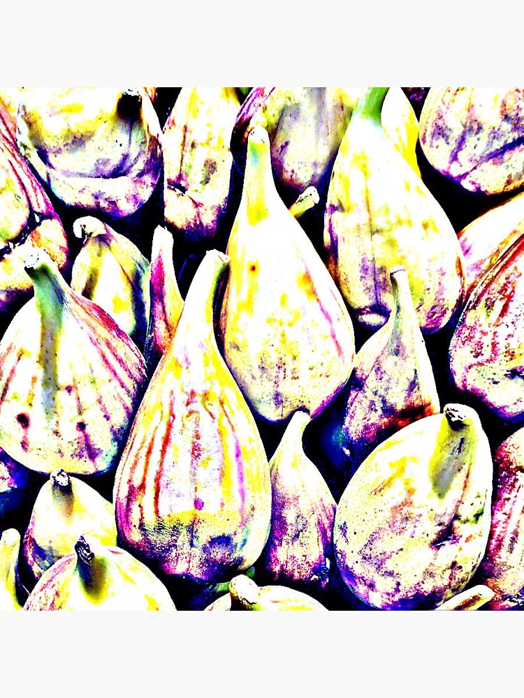 "Funky Figs" Sticker for Sale by Trixiloo | Redbubble