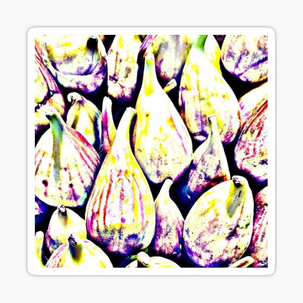 "Funky Figs" Sticker for Sale by Trixiloo | Redbubble