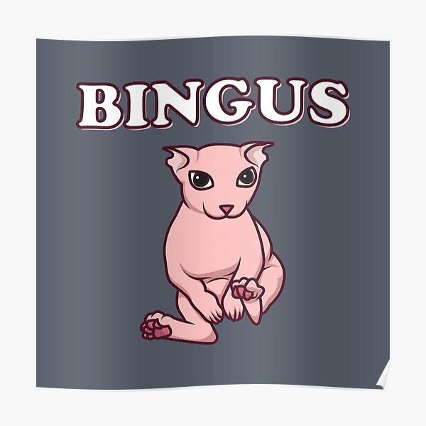 Bingus Cat Posters | Redbubble