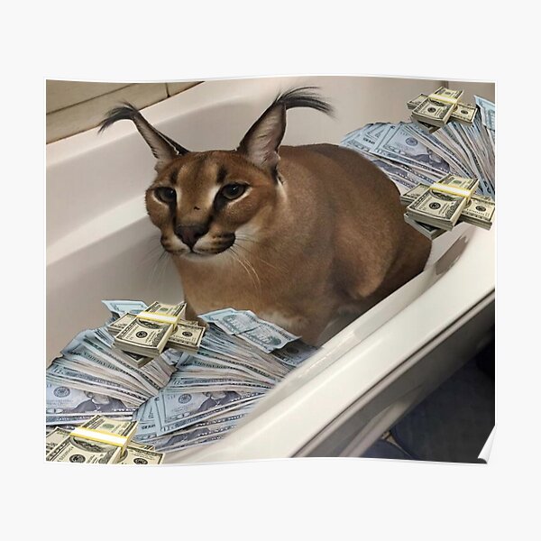 Flopper Posters | Redbubble