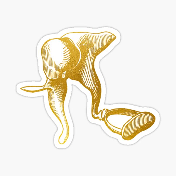 "Ear anatomy" Sticker by erzebetth | Redbubble
