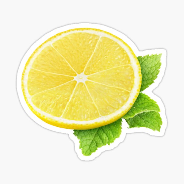 "Lemon slice with mint leaf" Sticker by 6hands | Redbubble