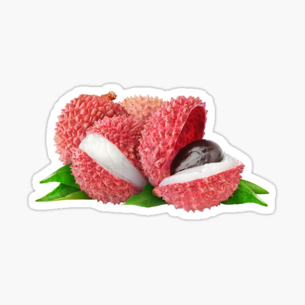 "Fresh lychee fruits" Sticker by 6hands | Redbubble