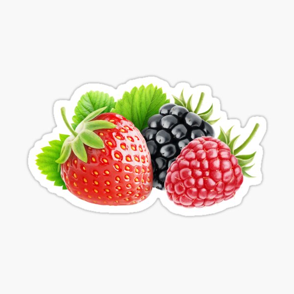 "Fresh berries" Sticker by 6hands | Redbubble