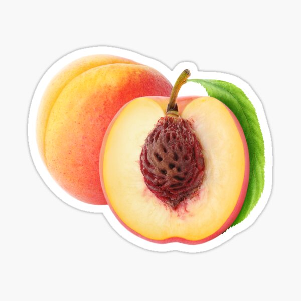 "Peaches" Sticker for Sale by 6hands | Redbubble